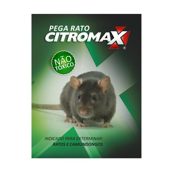 Armadilha para rato: escolha a eficiência da Citromax | Petz