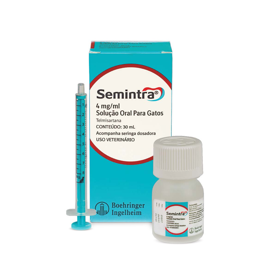 Semintra: medicamento de qualidade para o seu felino | Petz