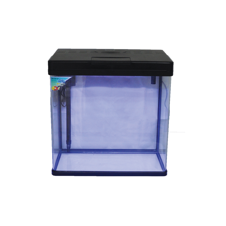 Aquário curvo Boyu: ideal para peixes pequenos | Petz