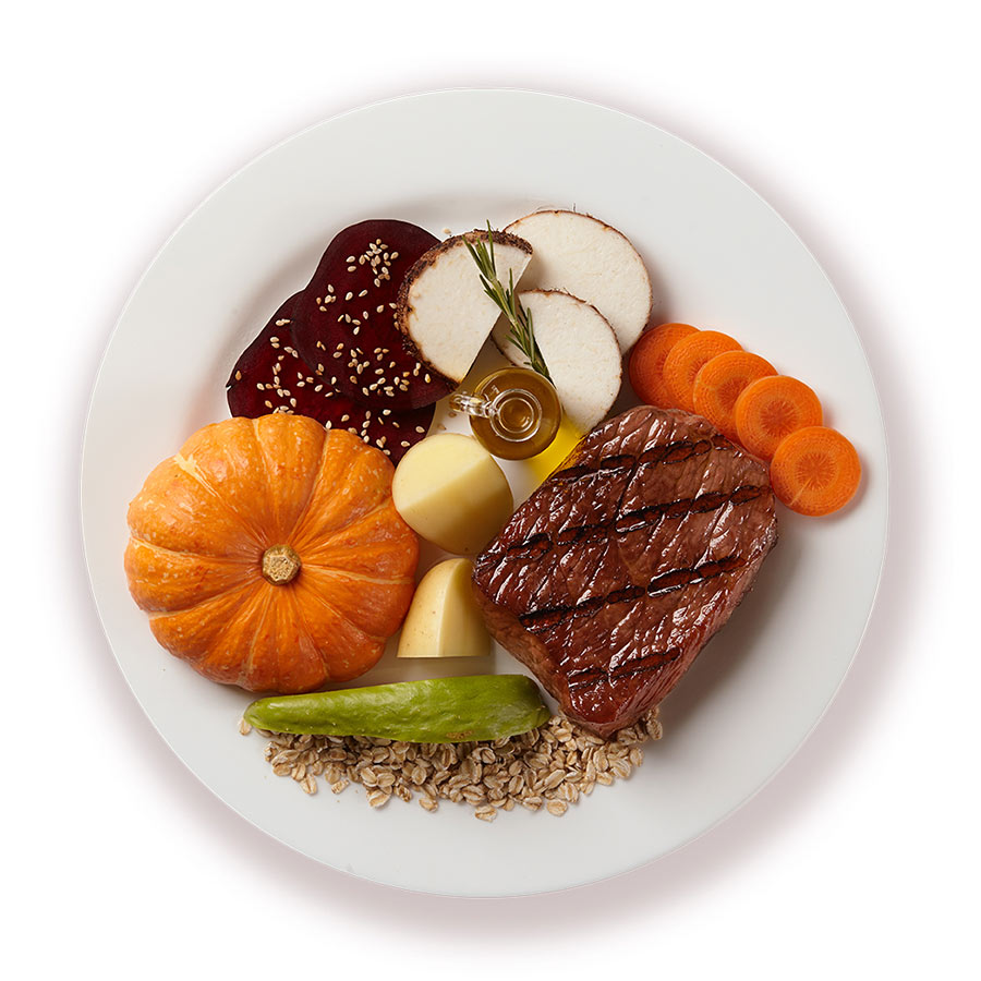 Ração Úmida Pet Delícia Dieta Hipercalórica para Cães Adulto | Petz