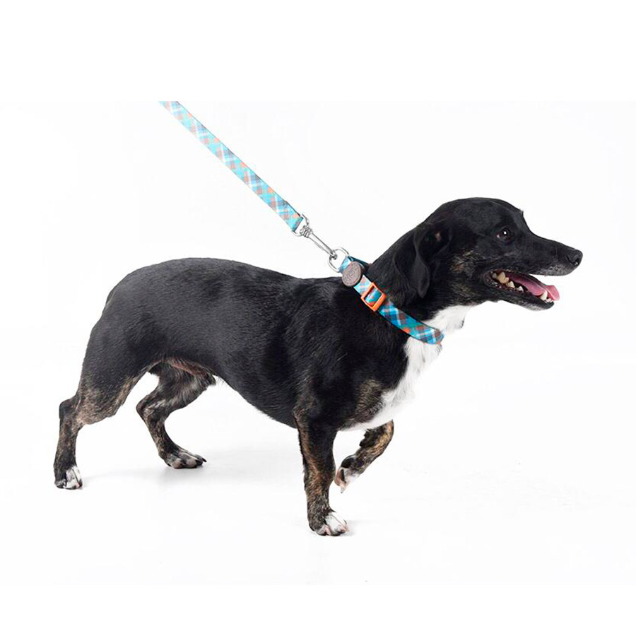 Coleira com Guia Toh para Cães Scott | Petz