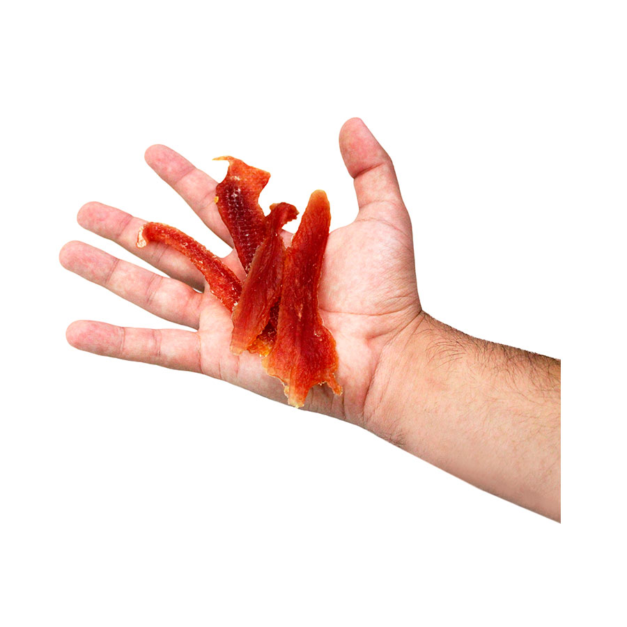 Petisco Just Steak de Pato para Cães e Gatos | Petz