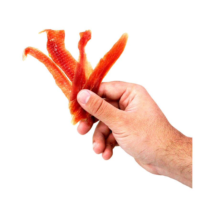 Petisco Just Steak de Pato para Cães e Gatos | Petz