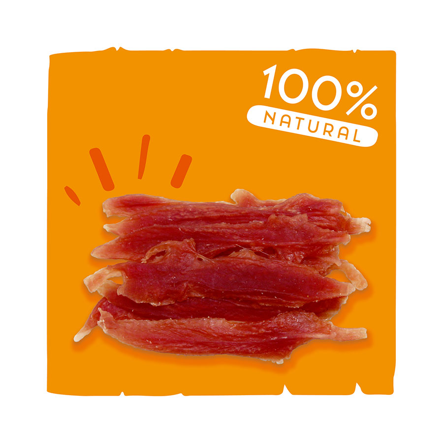 Petisco Just Steak de Pato para Cães e Gatos | Petz