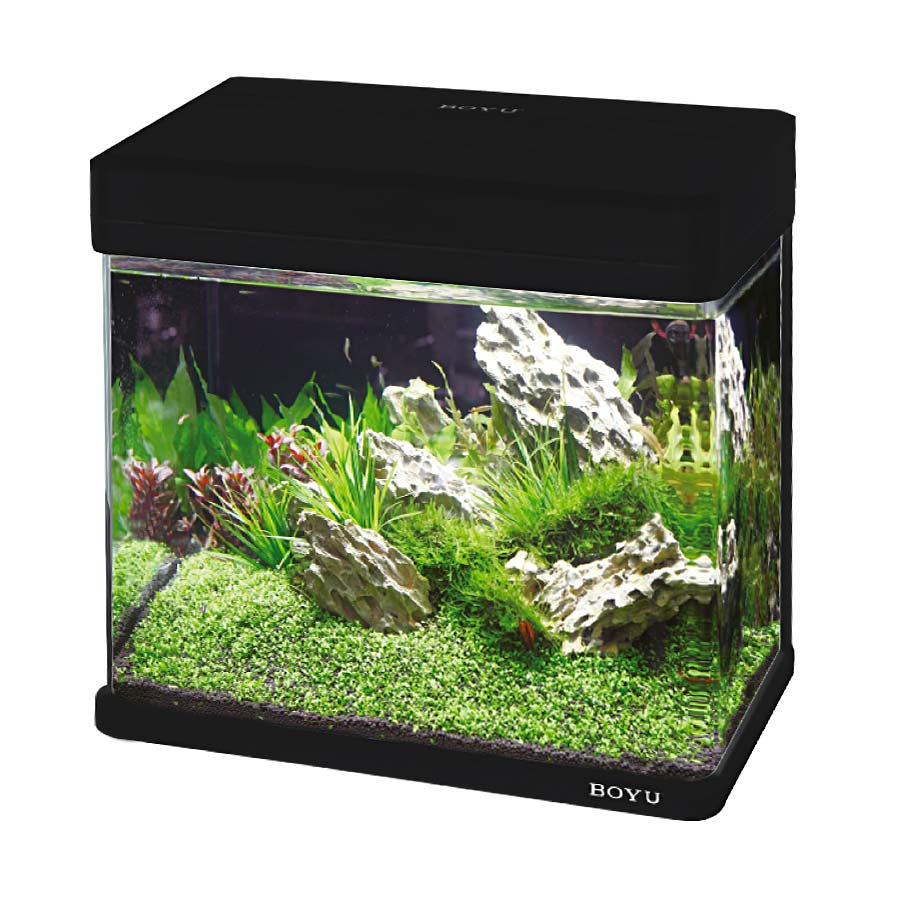Aquário Boyu Curvo MS 220 7,5 Litros Preto | Petz